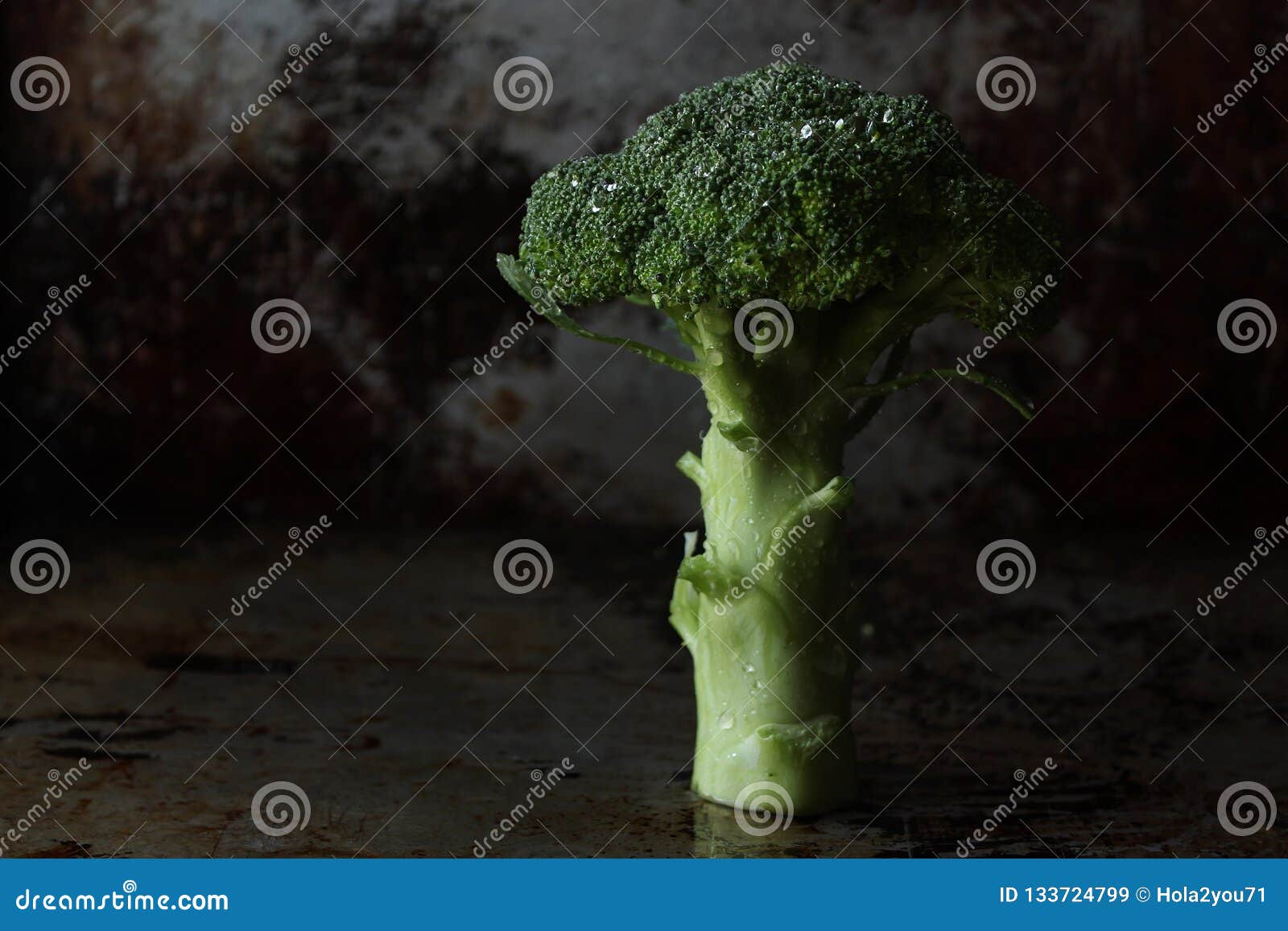 Broccoli tree stock image. Image of standing, tree, copy - 133724799