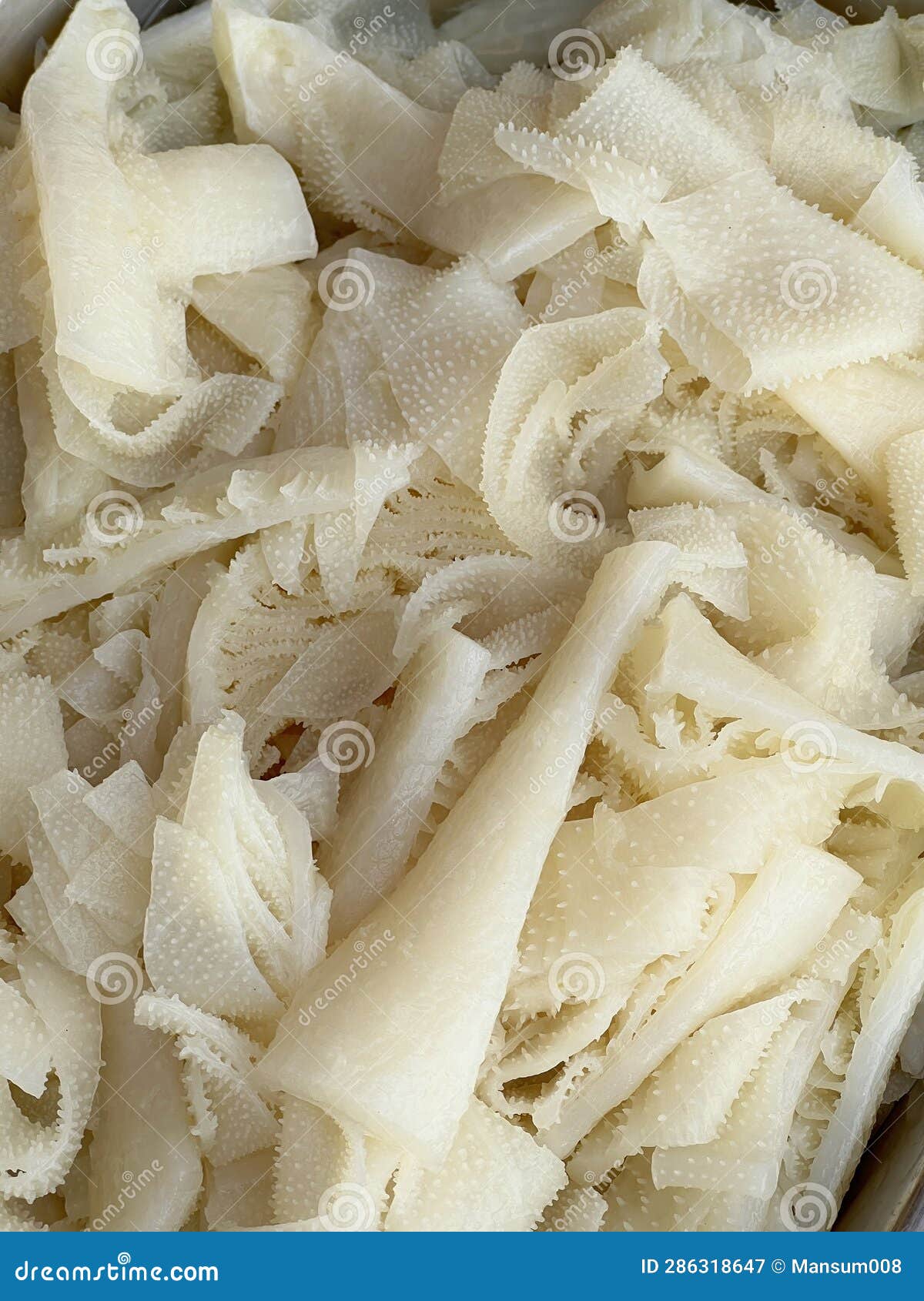 Fresh white raw cow tripe stock image. Image of traditional - 286318647