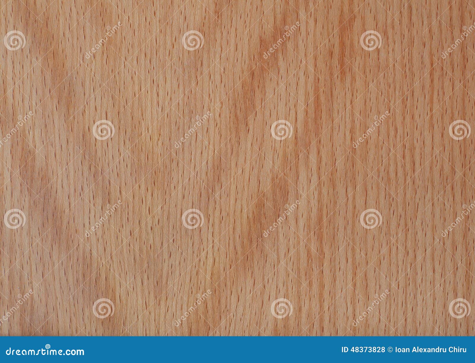 Close Up of Fresh Wood Background Grain Texture Stock Photo - Image of ...