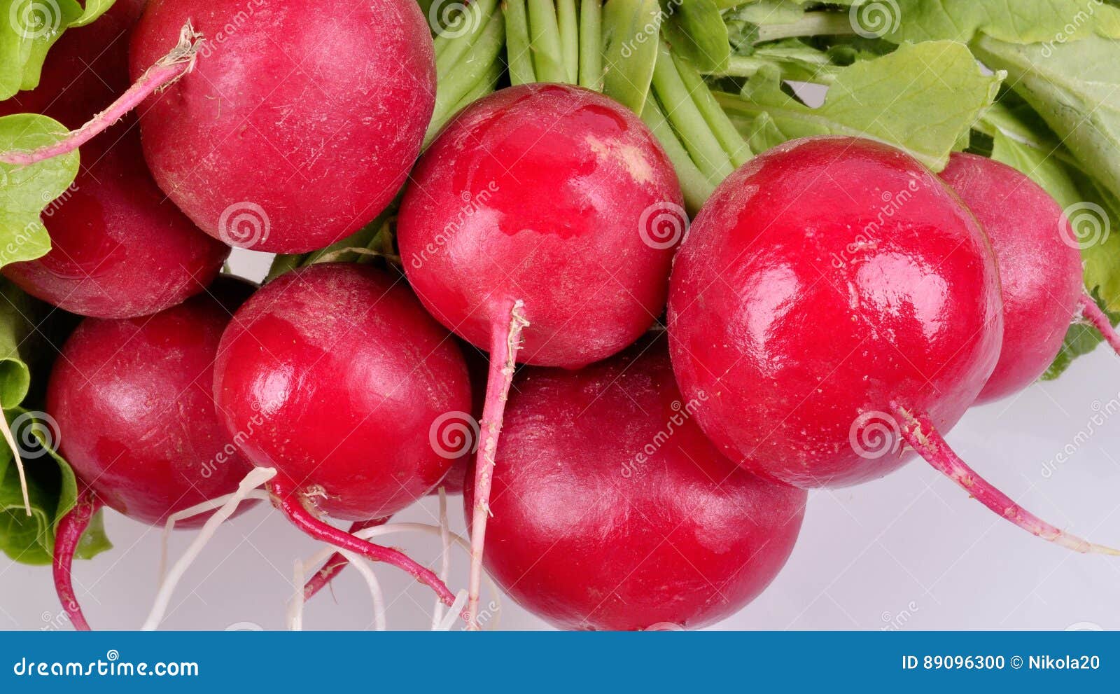 Close Up of Freshly Picked Spring Radish Stock Photo - Image of nature ...