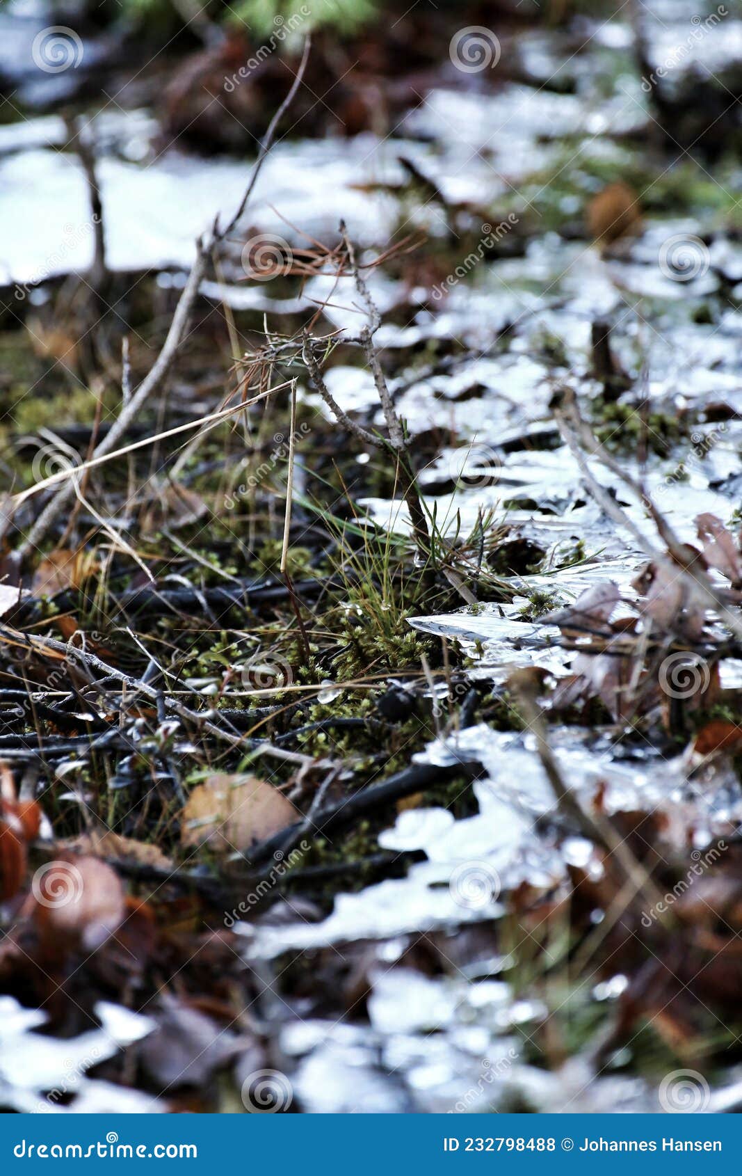 Close Up of Frozen Ice Structures in the Beginning of Winter Stock ...