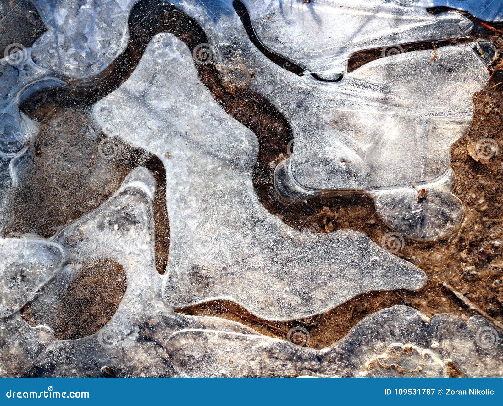 Close-up of Frozen Puddle Ice Pattern Stock Image - Image of winter ...