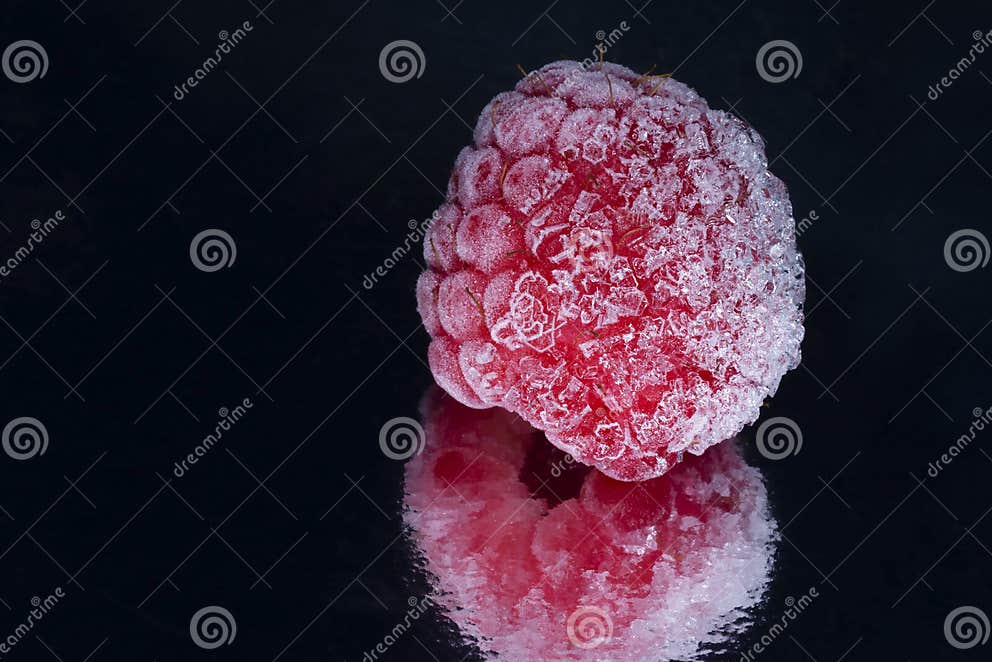Close Up of Frozen Raspberry with Reflection Stock Image - Image of ...