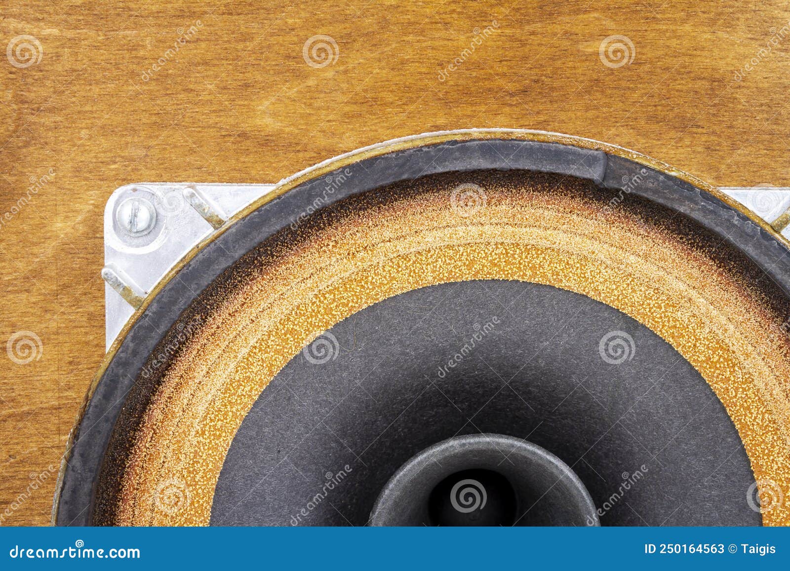 Close Up of Full Range Driver in Vintage Speaker Stock Image - Image of ...
