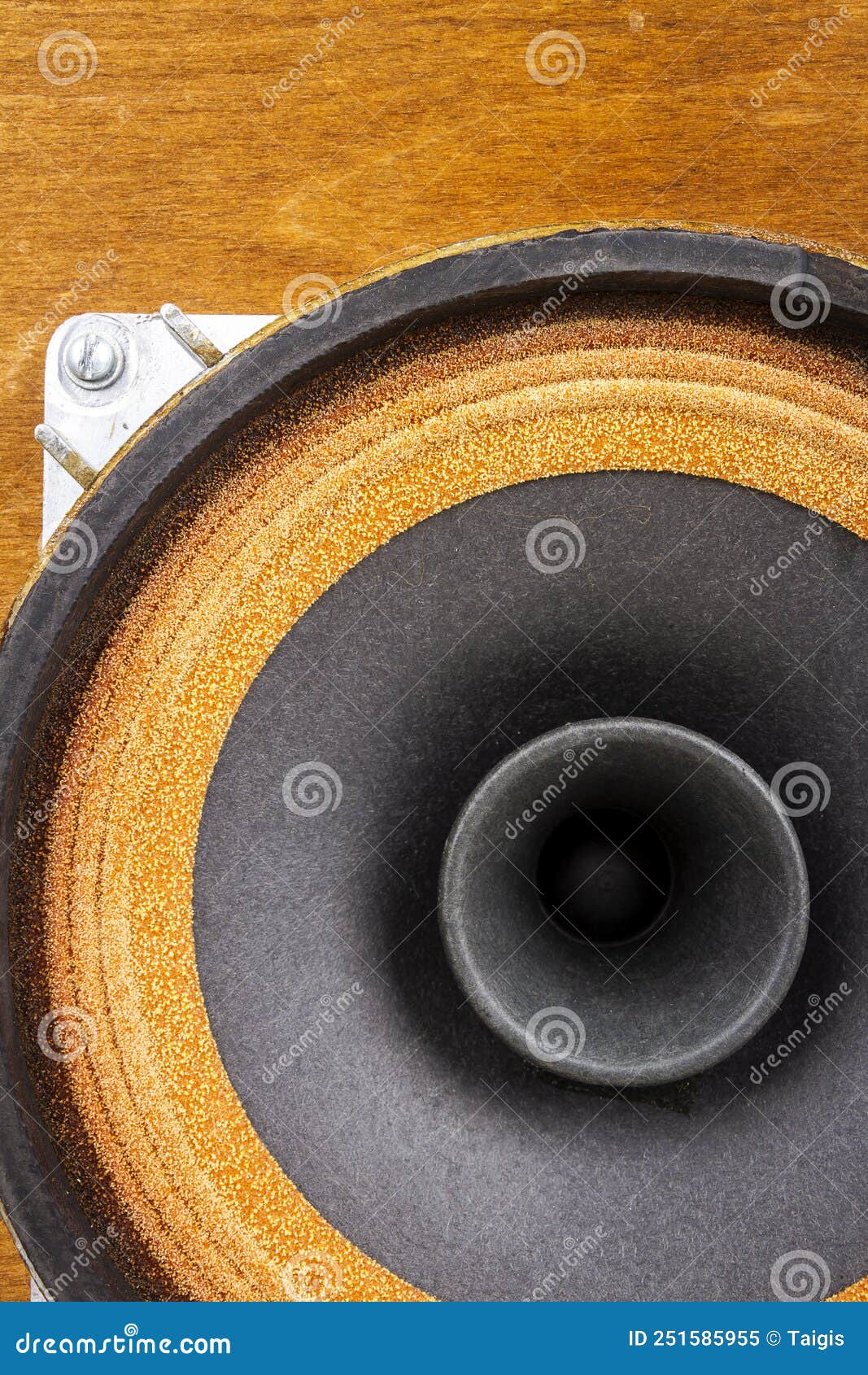 Close Up of Full Range Driver in Vintage Speaker Stock Image - Image of ...