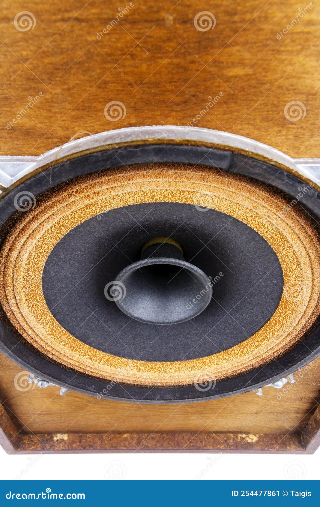 Close Up of Full Range Driver in Vintage Speaker Stock Image - Image of ...