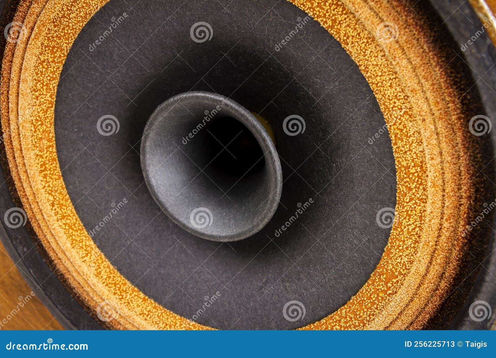 Close Up of Full Range Driver in Vintage Speaker Stock Image - Image of ...