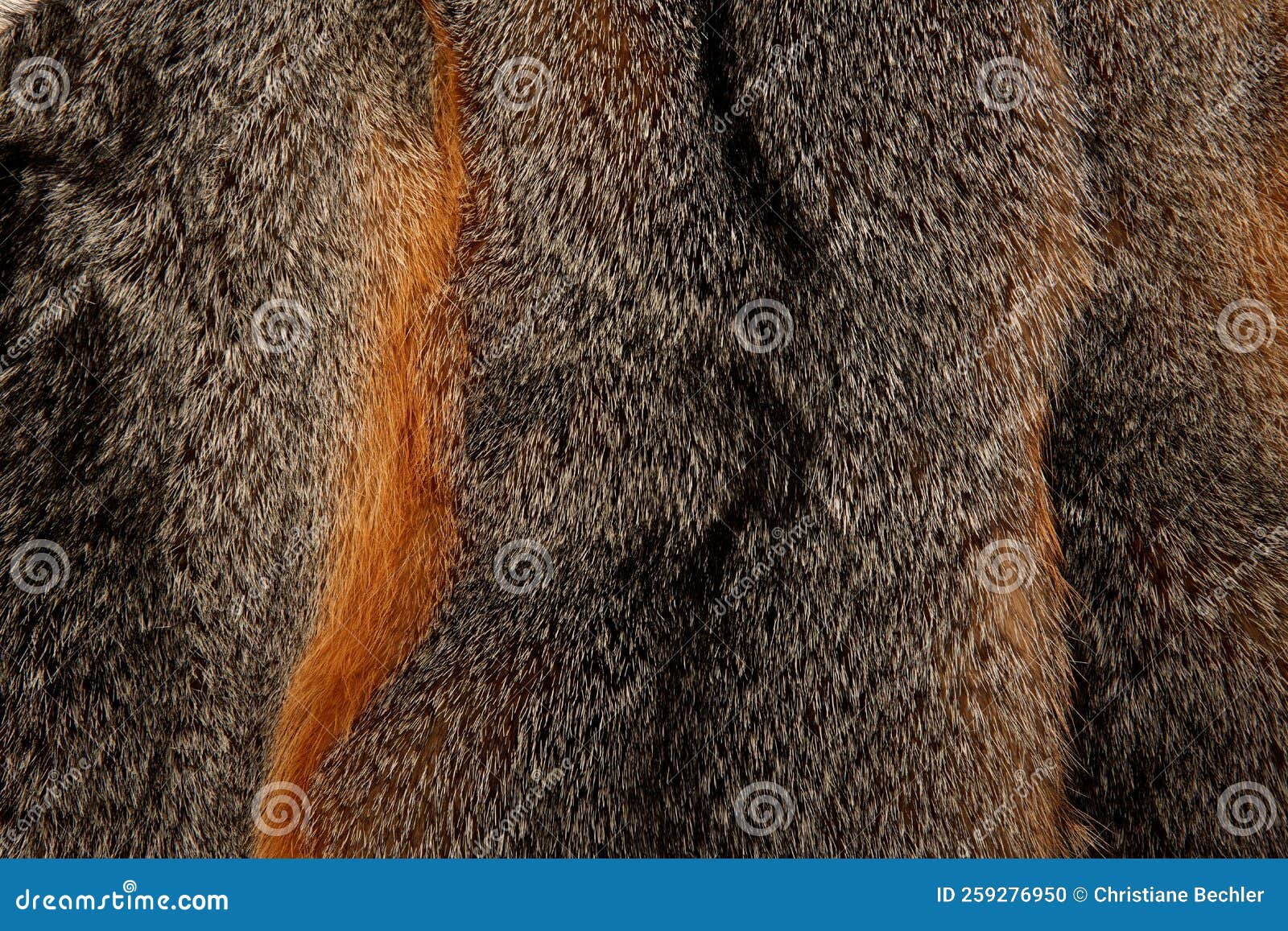 Close-up of a fur coat stock photo. Image of fluffy - 259276950