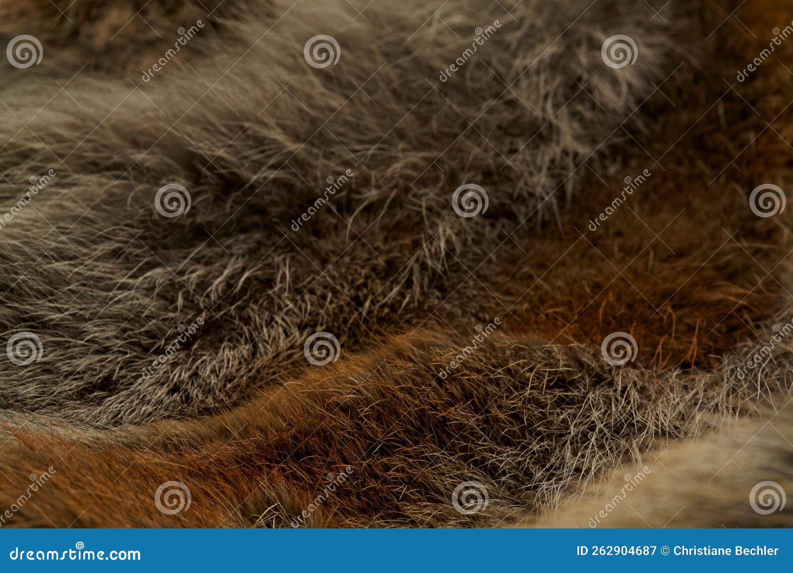 Close-up of a fur coat stock image. Image of fashion - 262904687