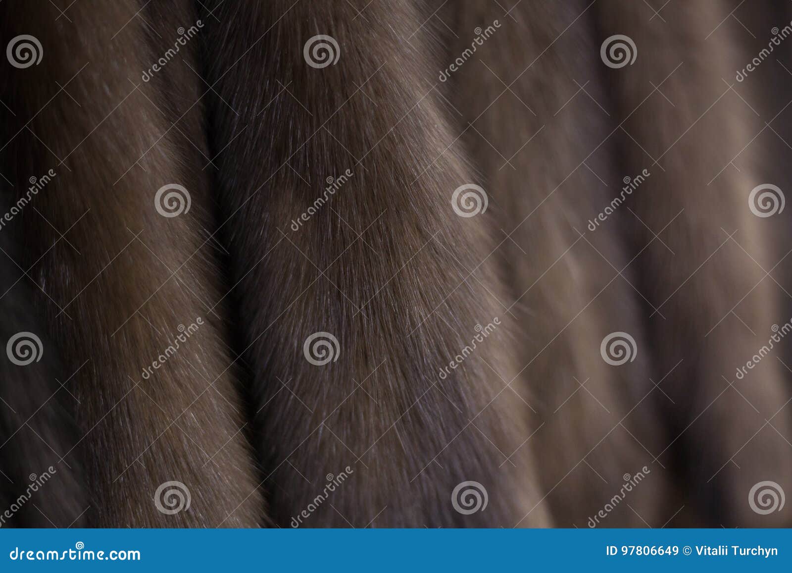 Fur texture stock image. Image of raccoon, texture, coat - 97806649