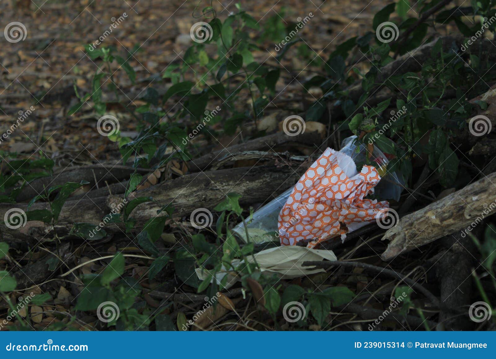 Close-up of Garbage on the Ground in the Park. Stock Photo - Image of ...