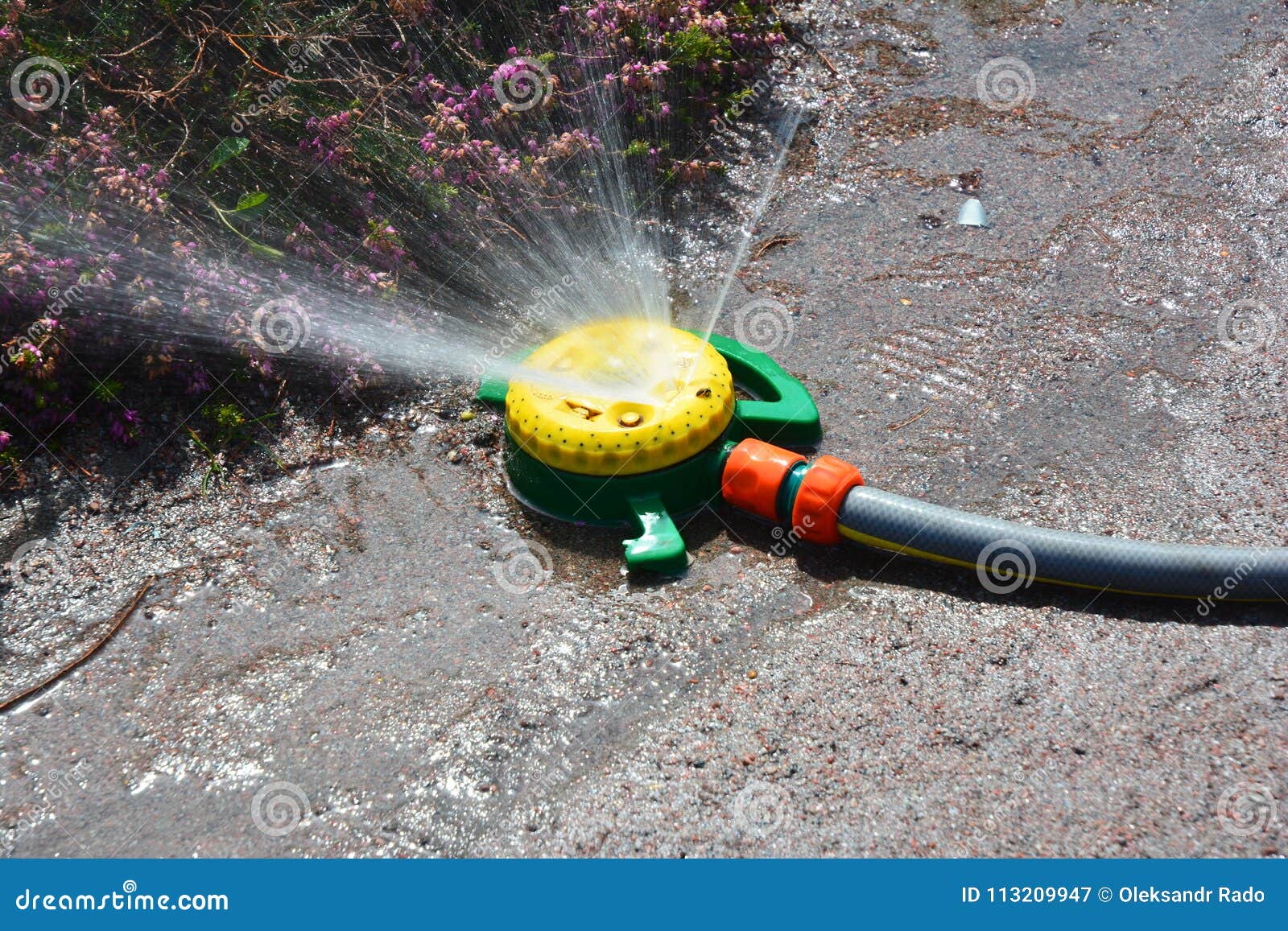 Close Up on Garden Watering System. Water Sprinkler. Stock Image ...