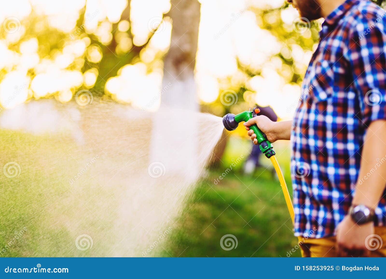 Close Up of Man Hands Watering Backyard Lawn Using Hose Stock Image ...