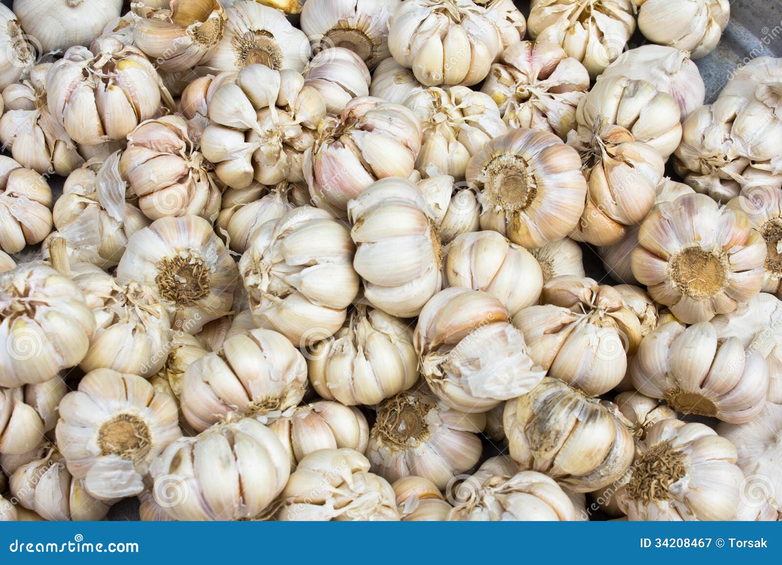Close up of garlic stock image. Image of ingredient, bulb - 34208467