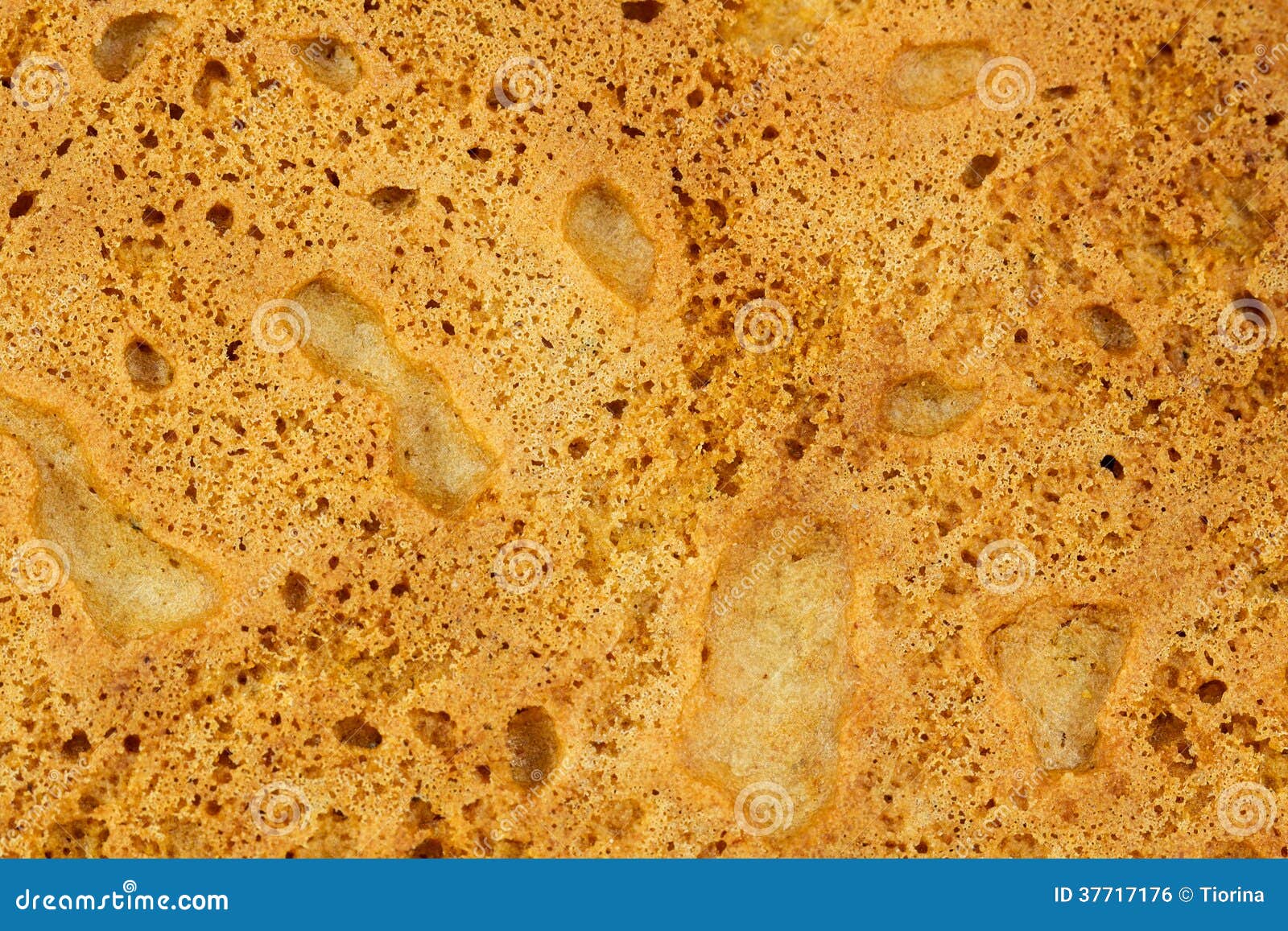 Close Up of Gingerbread Cookie Stock Photo - Image of ginger, pastry ...