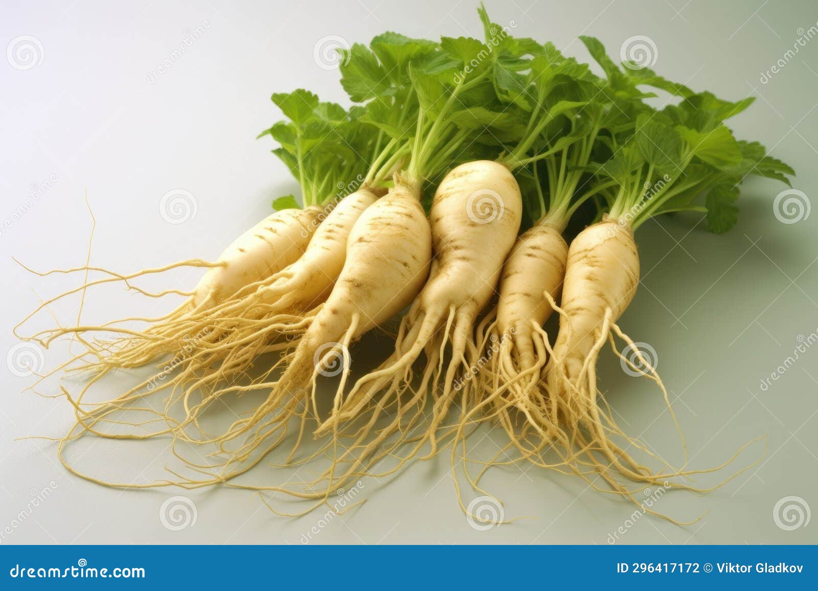Close-up of a Ginseng Root. Generative AI Stock Photo - Image of ...