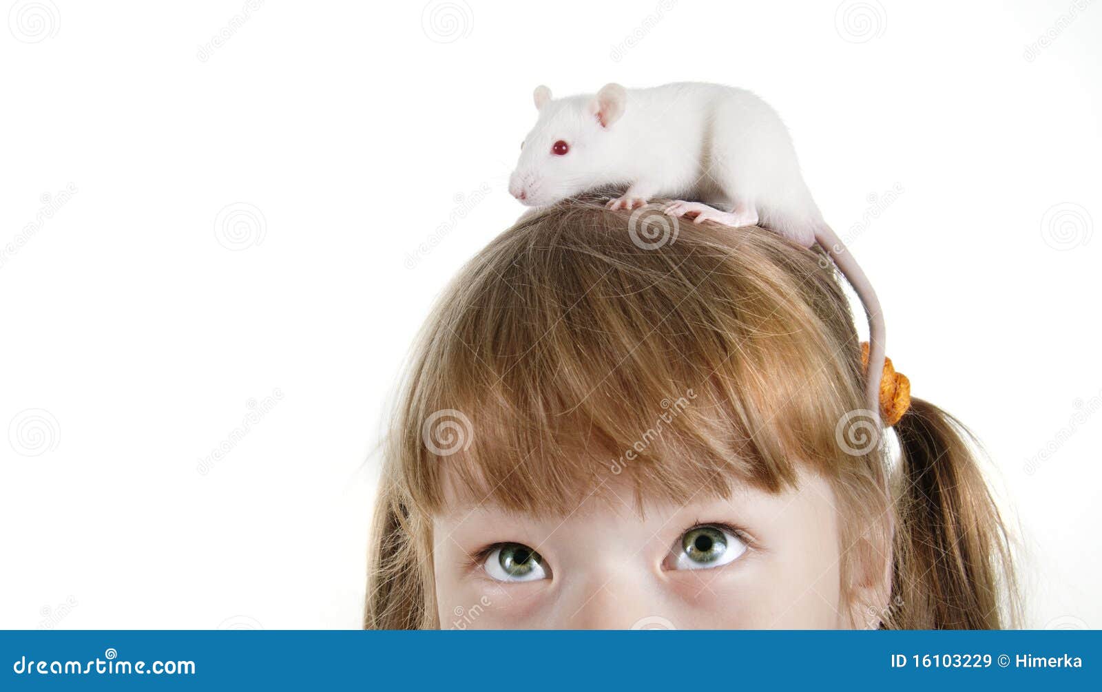 Close-up girl with a rat stock image. Image of cute, little - 16103229