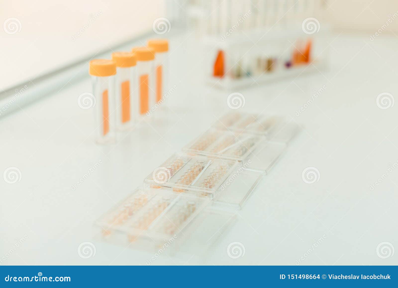 Close Up of Glass Box with Test Samples Stock Photo - Image of ...
