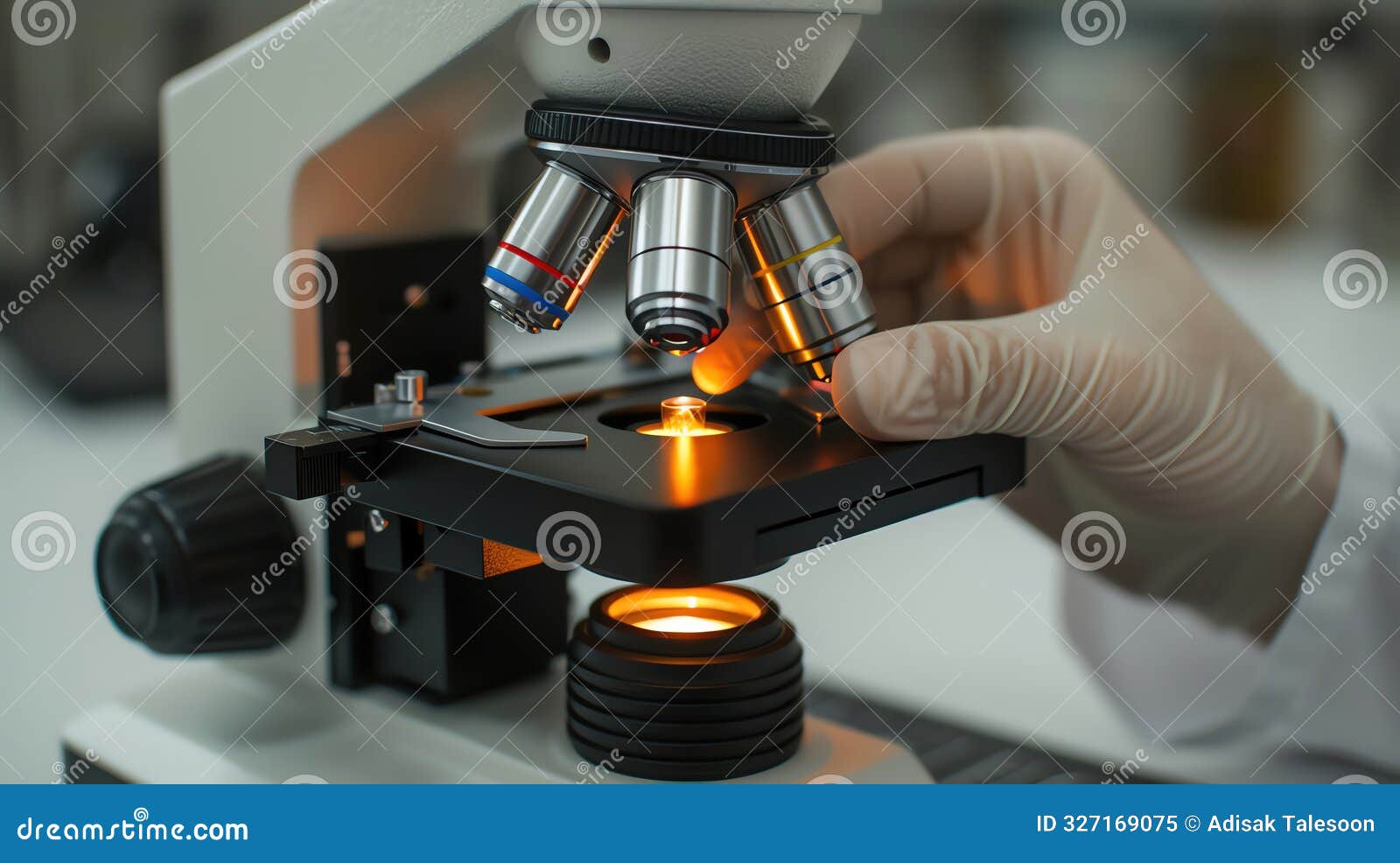Through The Lens Of A Microscope, An Onion Cell Displays The ...