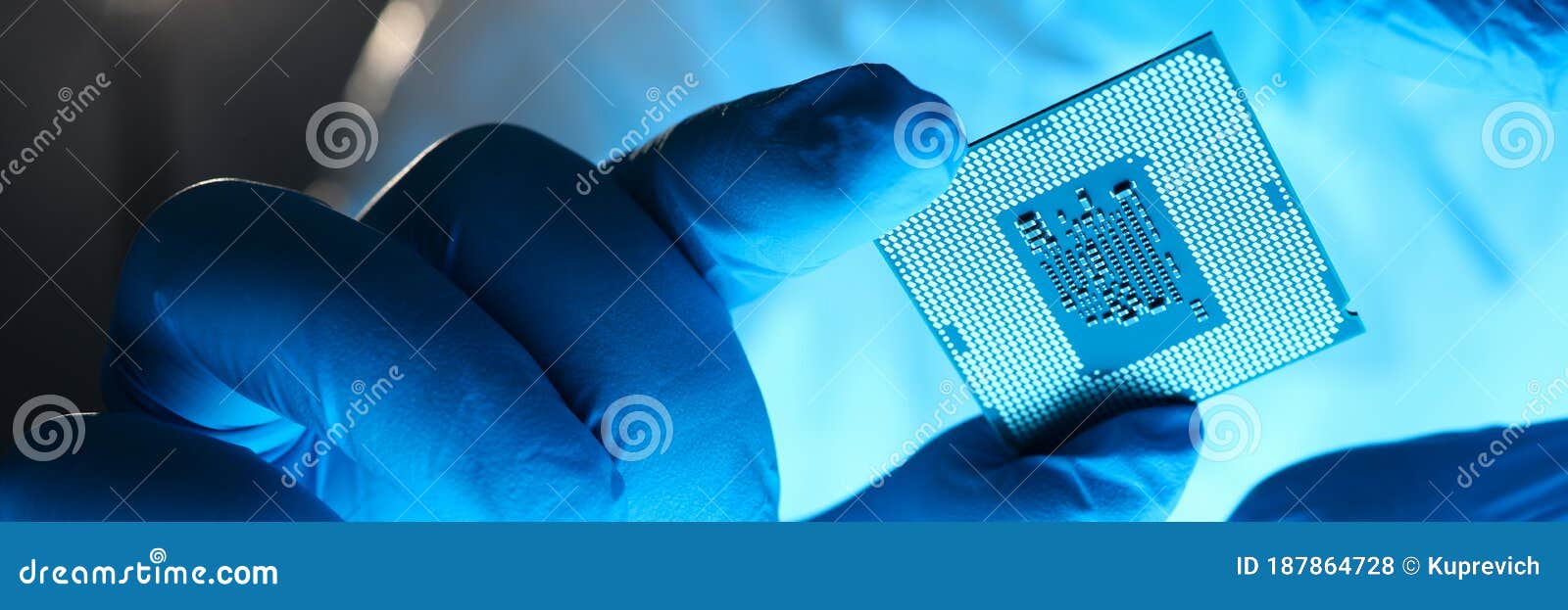 Close-up Gloved Hands Holding Detail Microchip Stock Photo - Image of ...