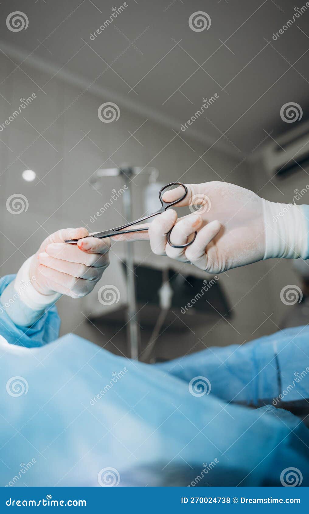 Close-up of Gloved Hands Holding Surgical Scissors. Stock Photo - Image ...