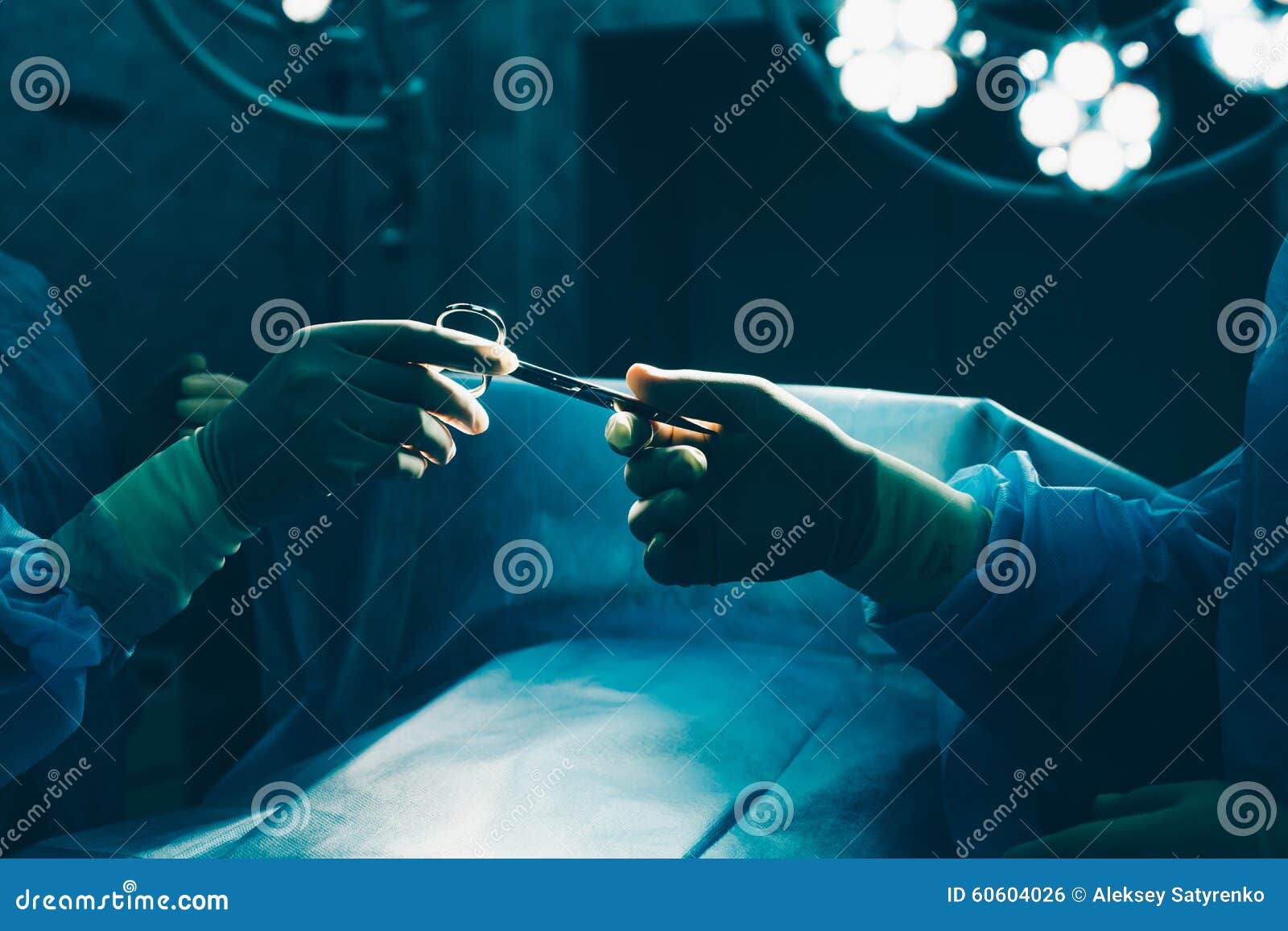 Close-up of Gloved Hands Holding Surgical Scissors Stock Photo - Image ...
