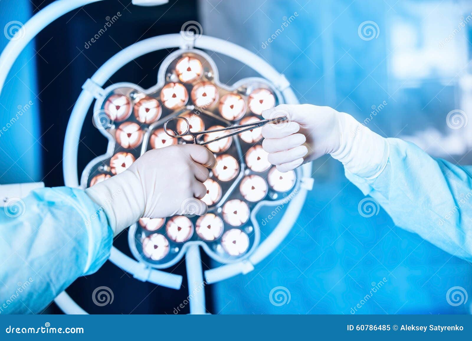 Close-up of Gloved Hands Holding Surgical Scissors Stock Image - Image ...