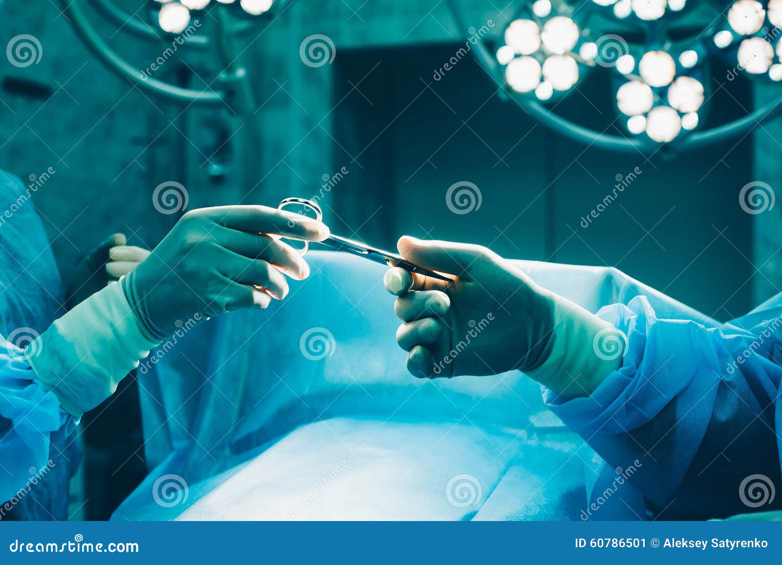 Close-up of Gloved Hands Holding Surgical Scissors Stock Image - Image ...