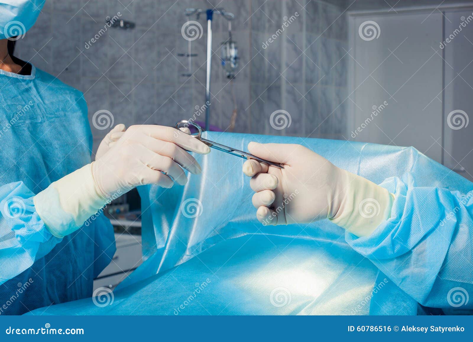 Close-up of Gloved Hands Holding Surgical Scissors Stock Photo - Image ...
