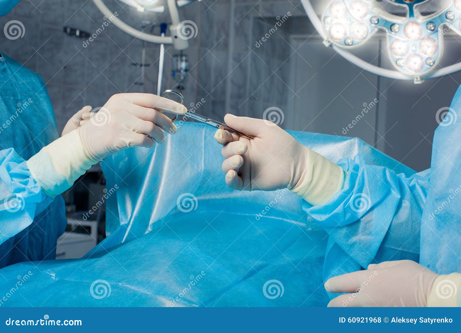 Close-up of Gloved Hands Holding Surgical Scissors Stock Photo - Image ...