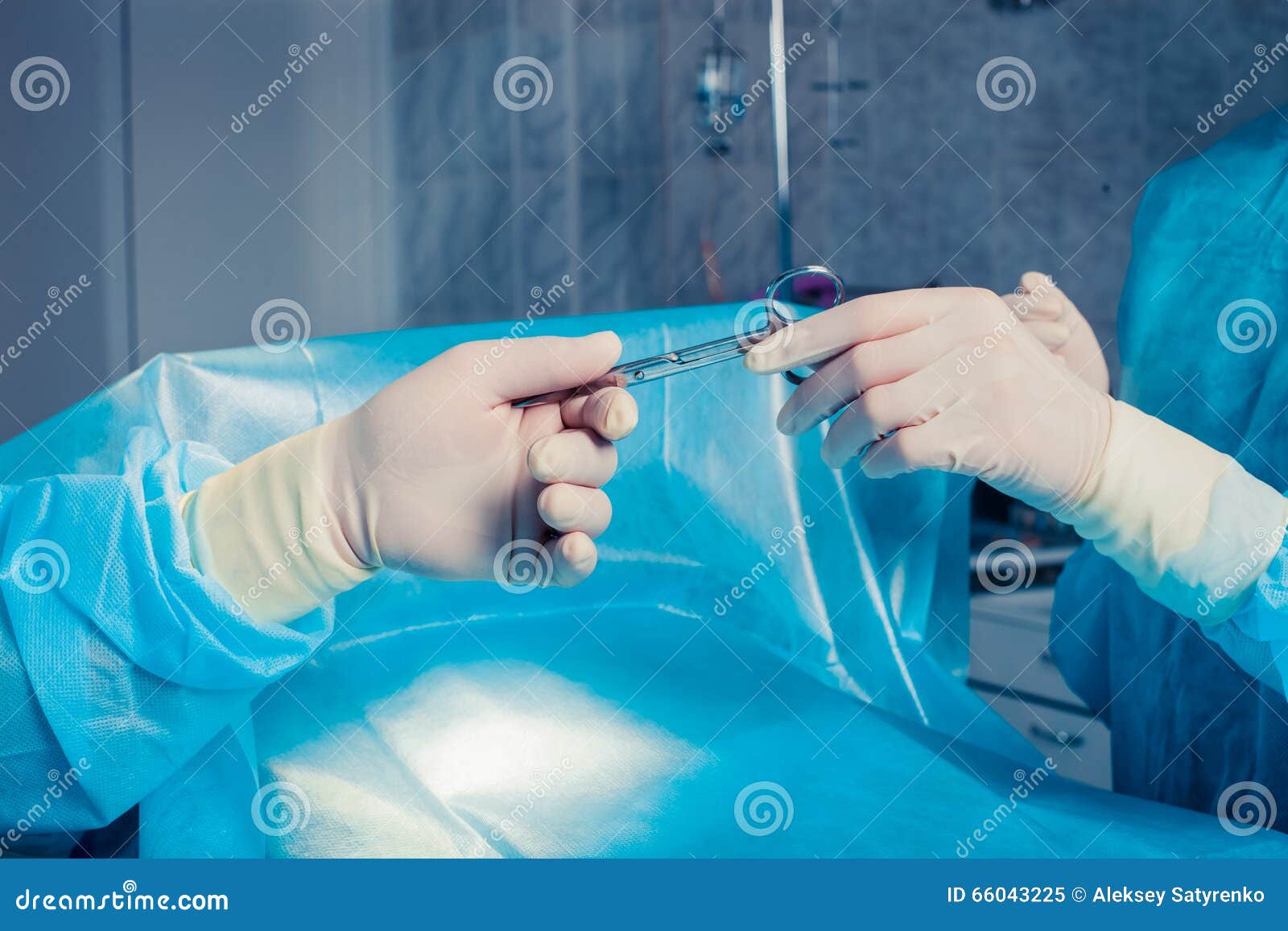 Close-up of Gloved Hands Holding Surgical Scissors Stock Image - Image ...