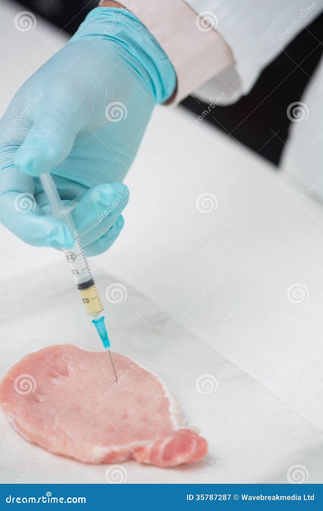 Close Up of a Gloved Researchers Hand Injecting Meat Stock Image ...