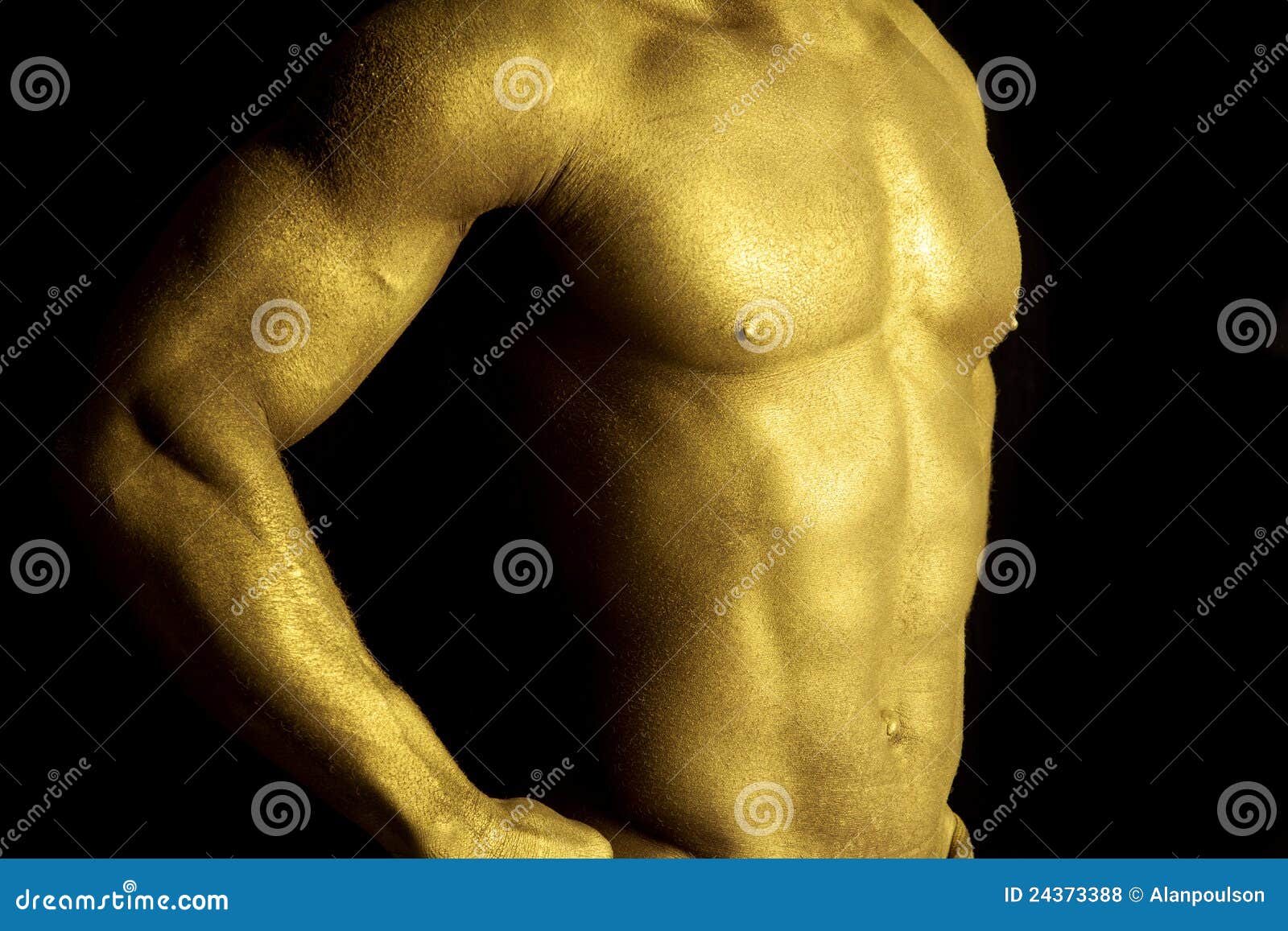 Close up on gold chest stock photo. Image of healthy - 24373388