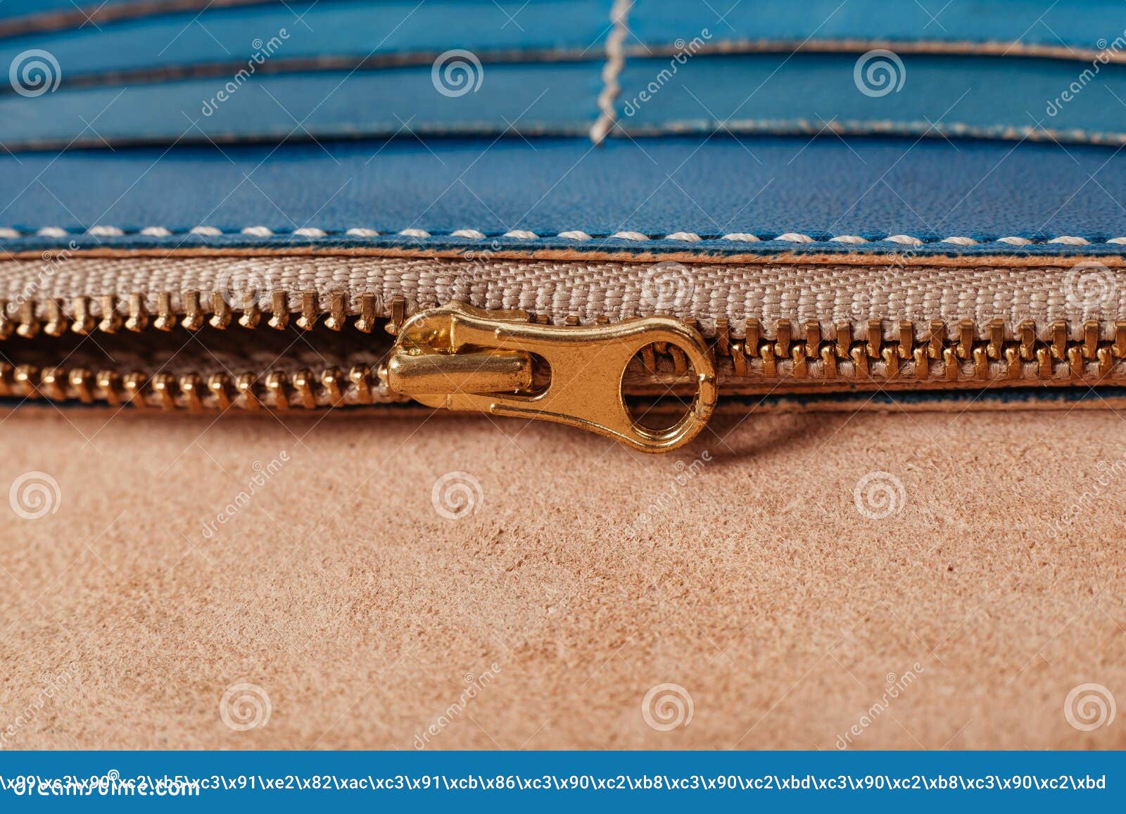 Close Up Gold Zip Wallet Blue Skin. Stock Photo - Image of currency ...