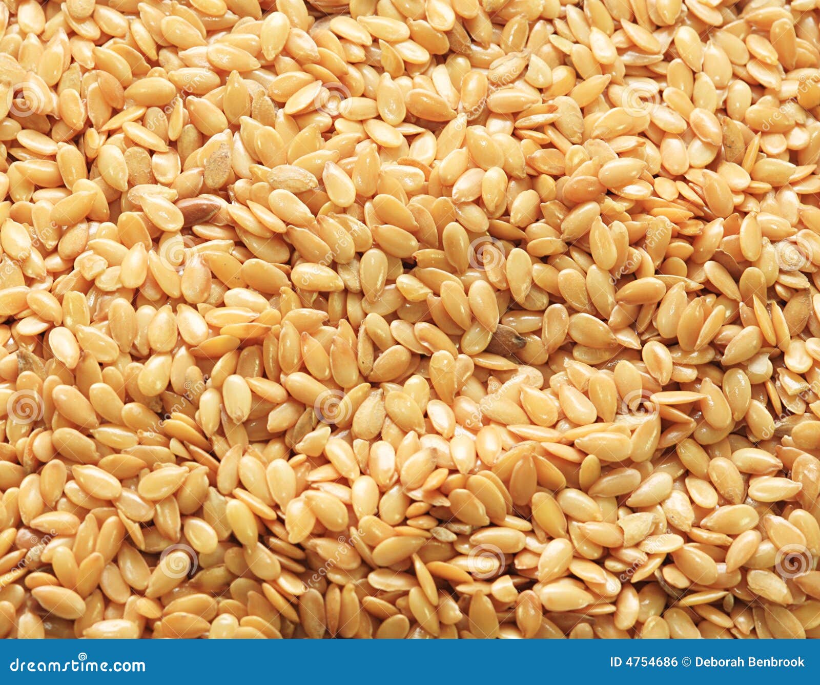 Close up of golden linseed stock photo. Image of macro - 4754686