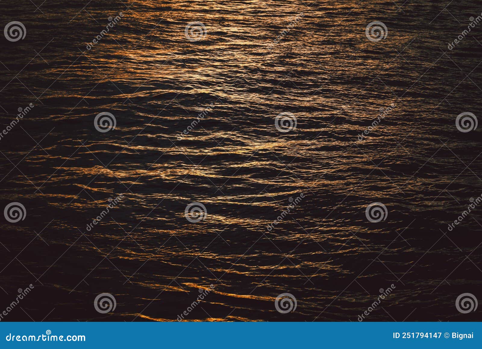 Close-up of Golden Ocean Wave on the Water Surface. Stock Image - Image ...