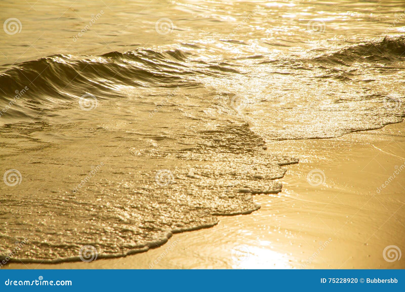 Close Up Golden Sea Wave on the Sandy Beach at Sunset. Stock Photo ...