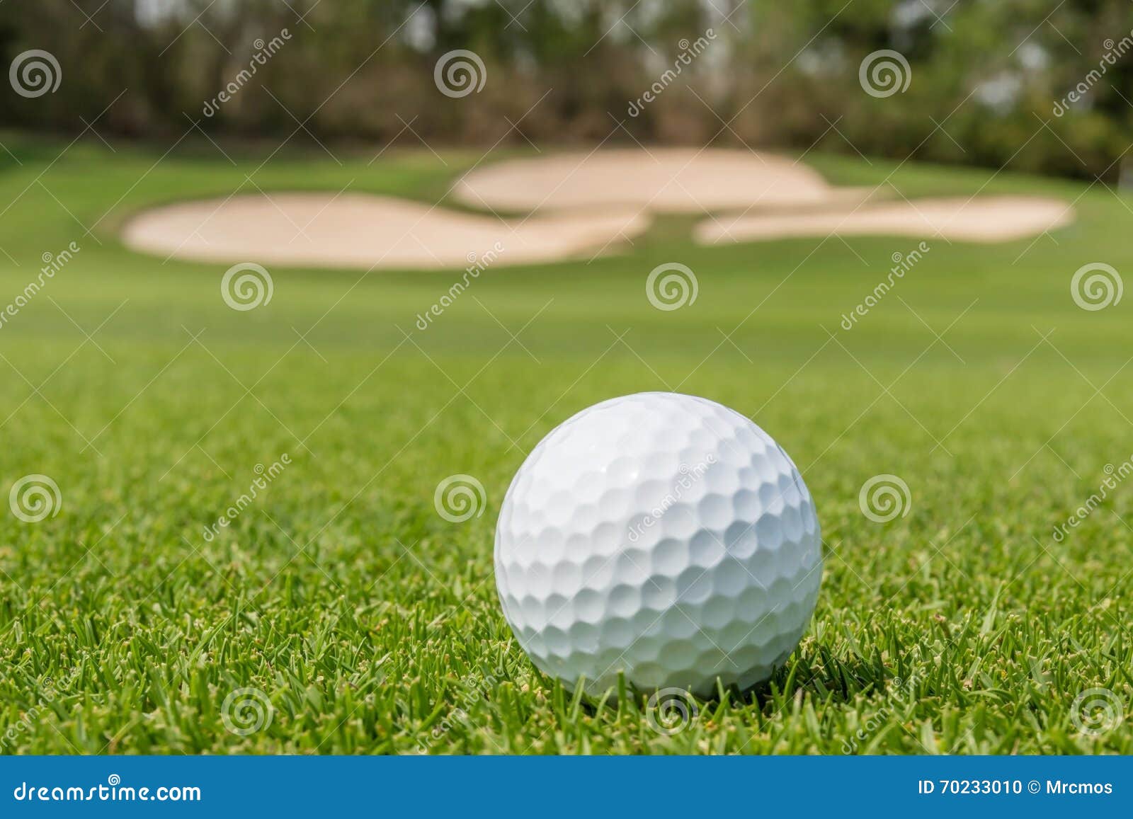 Close Up Golf Ball on Grass with Blurred Green Course Backgr Stock ...