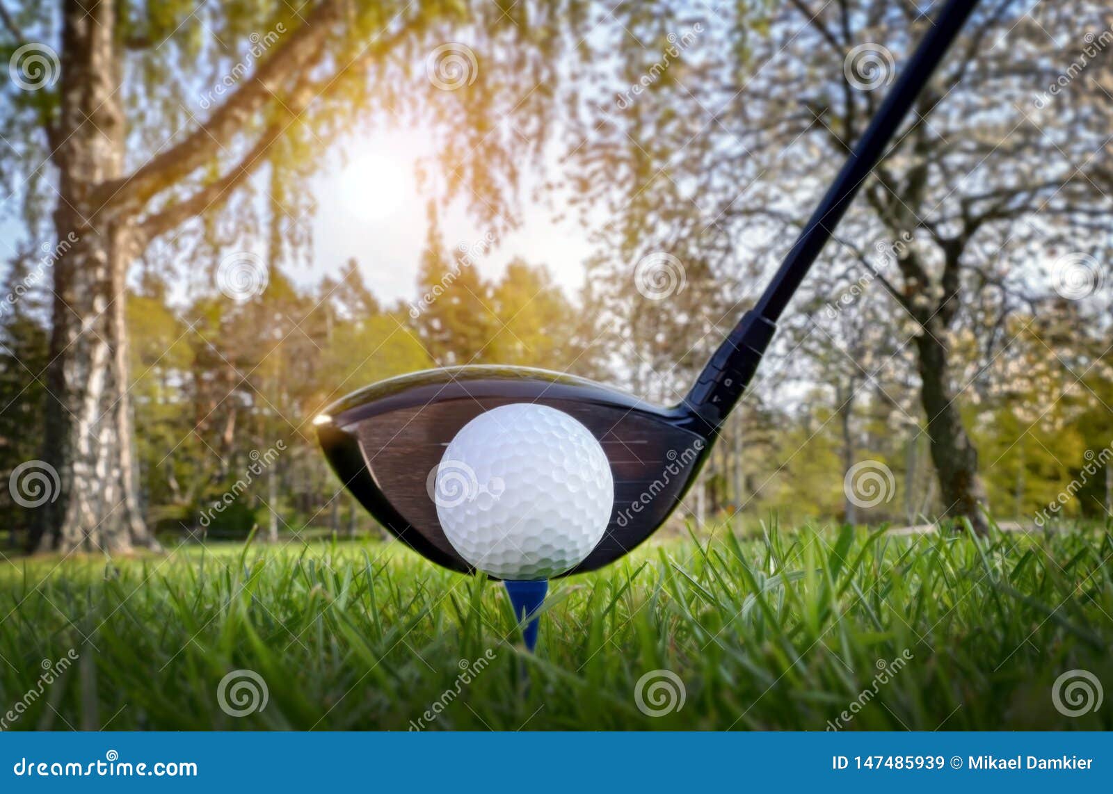 Close up at golf club stock image. Image of green, lawn - 147485939