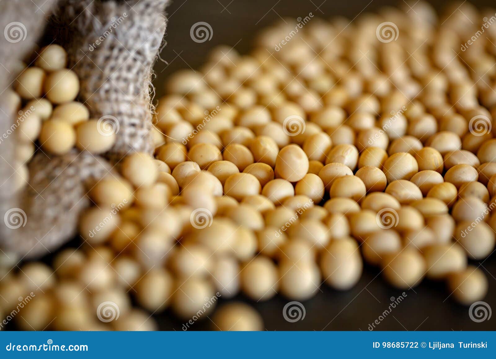 Close Up Grains Soybean on Dark Background Stock Photo - Image of ...