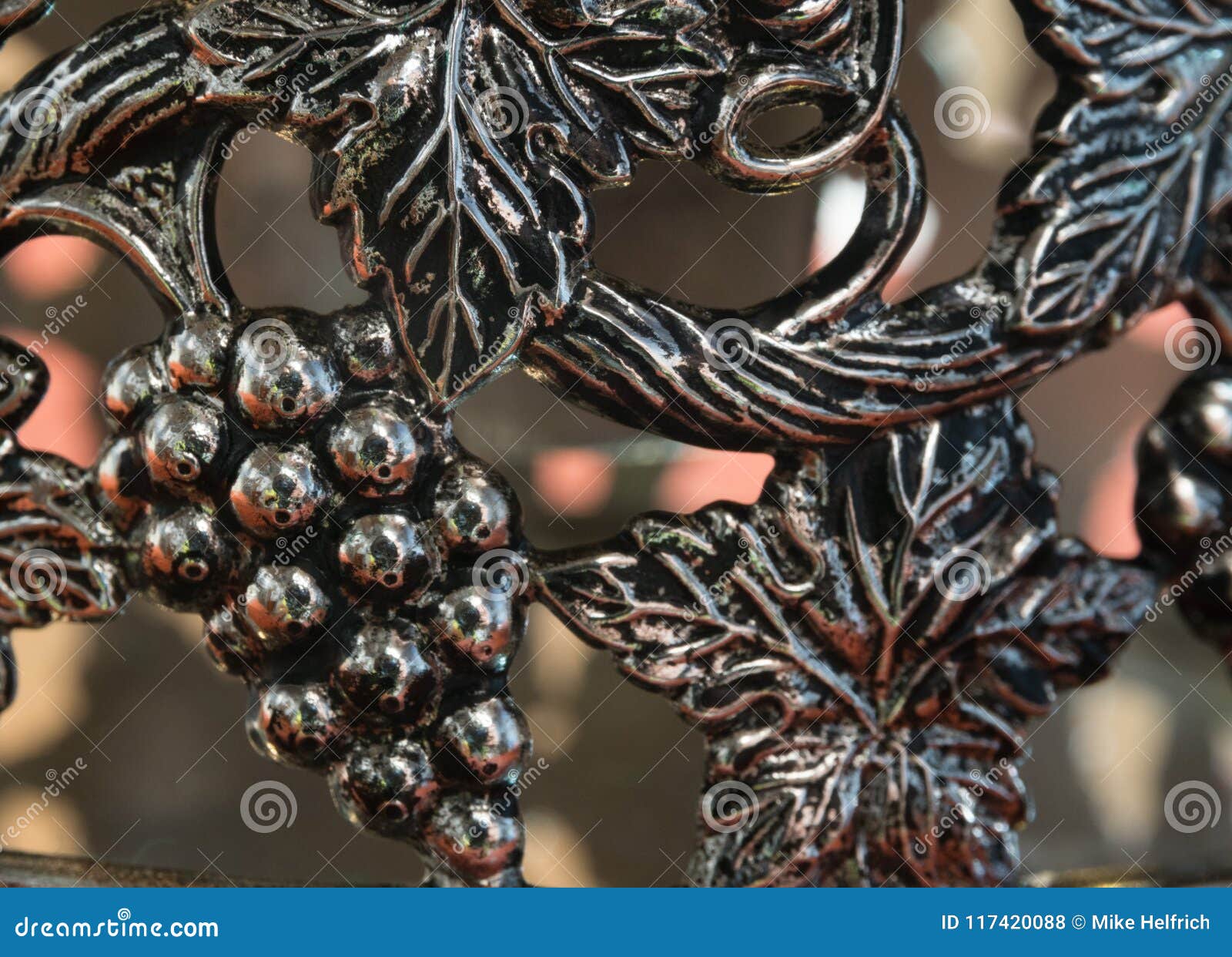 Grapevine Pattern Close-up Pattern Texture. Stock Photo - Image of ...