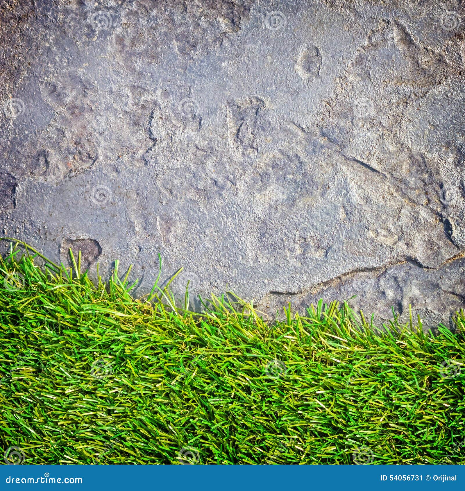 Close Up Grass And Stone Texture Background Stock Image Image Of Park Lawn 54056731