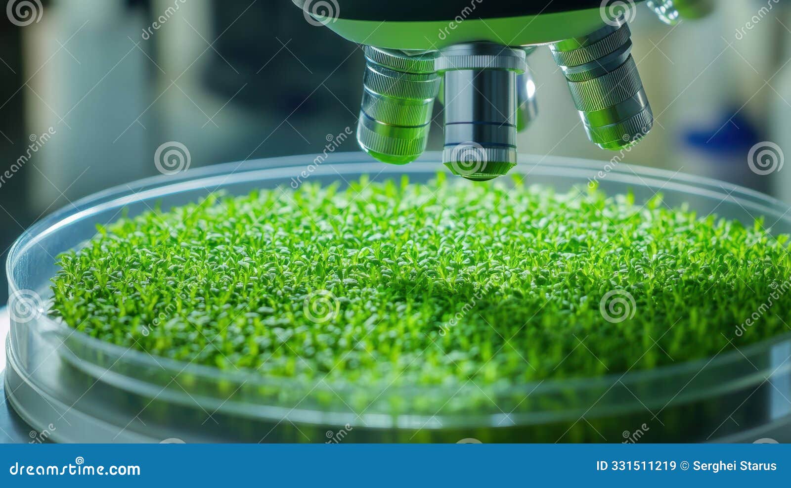 Close-up Of A Microscope Lens Focusing On A Stained Cell Slide, With ...