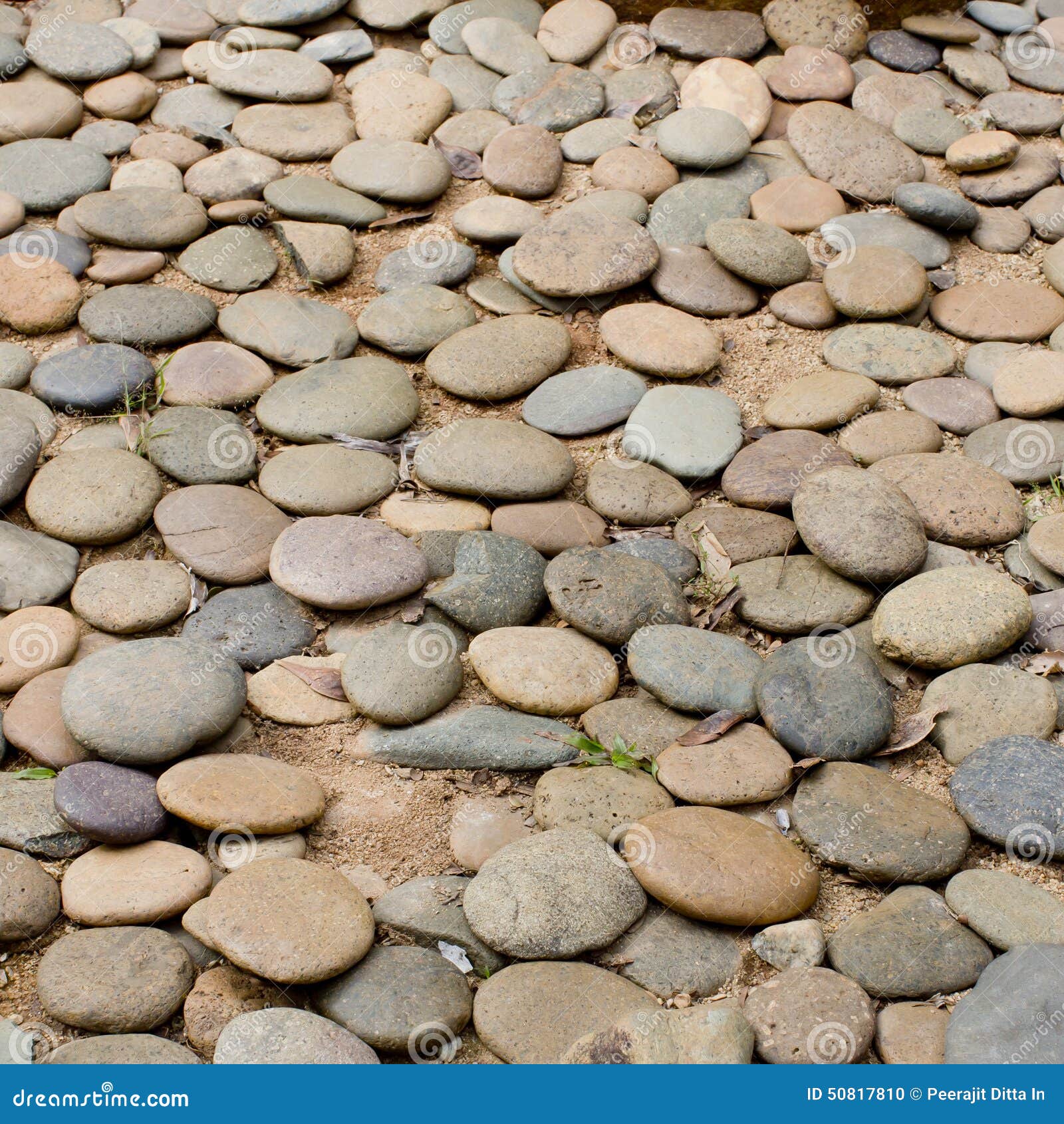 Close Up Gravel Stone Pathway in the Park. Stock Photo - Image of color ...