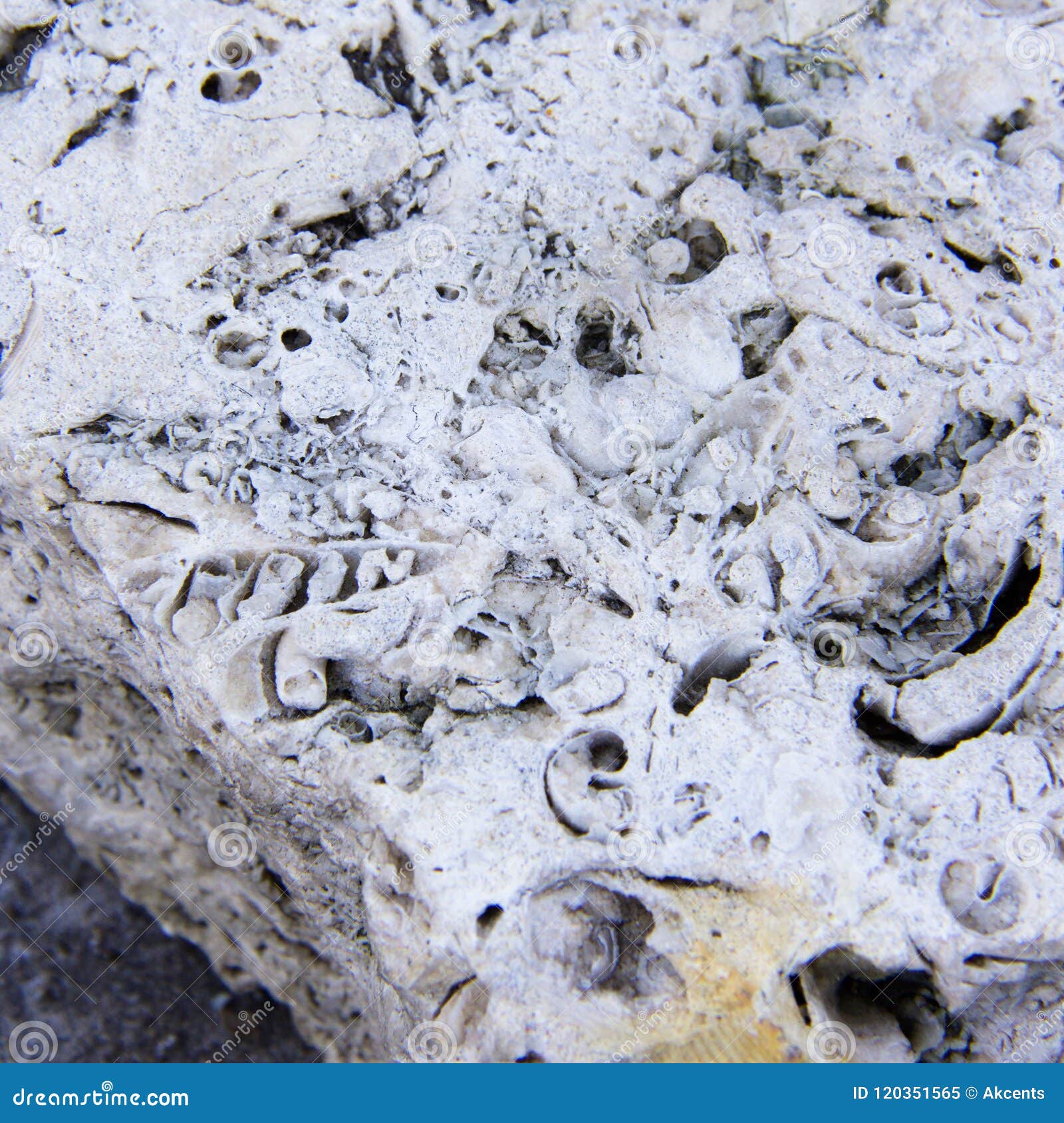 Close Up Brick Shaped Textured Rock with Repeating Abstract Patterns ...