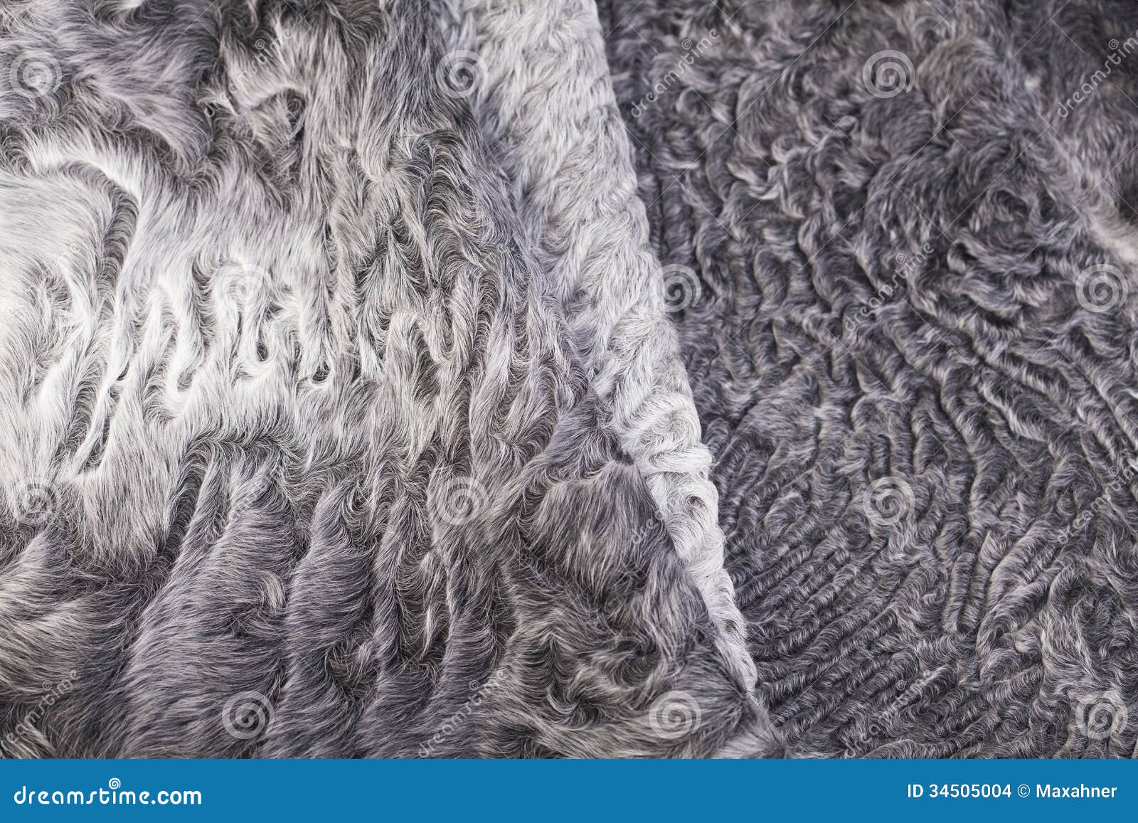 Close Up Gray Fur Sheep Pattern Stock Photo - Image of gray, farm: 34505004