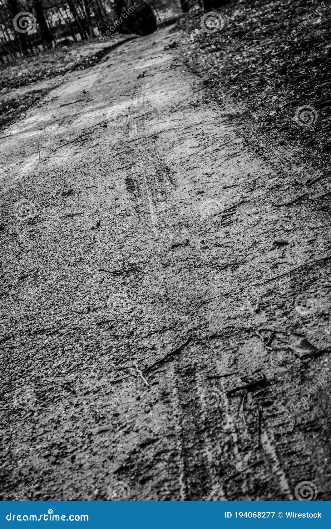 Close Up Grayscale Shot of a Textured Cement Ground - Perfect for a ...