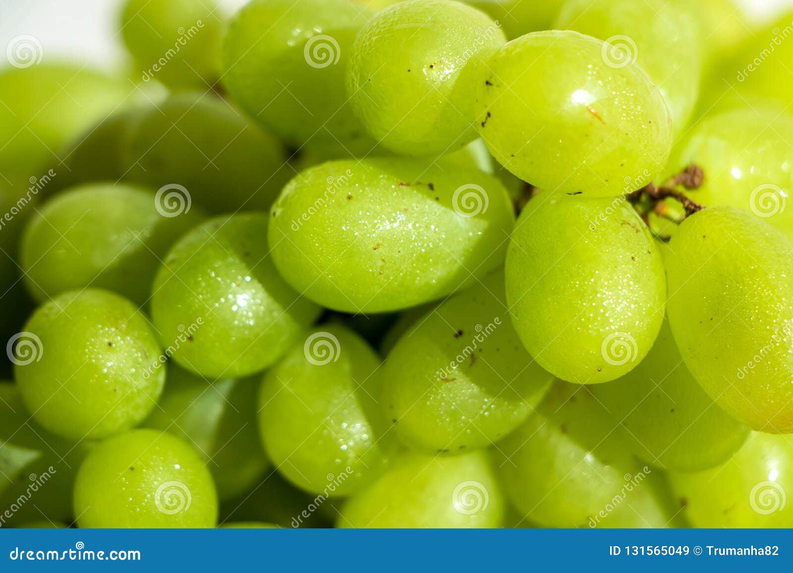 Close-up of Green Grapes stock image. Image of bunch - 131565049