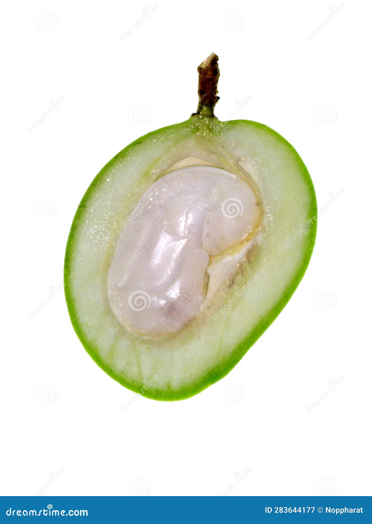 Close up green mango stock image. Image of delicious - 283644177