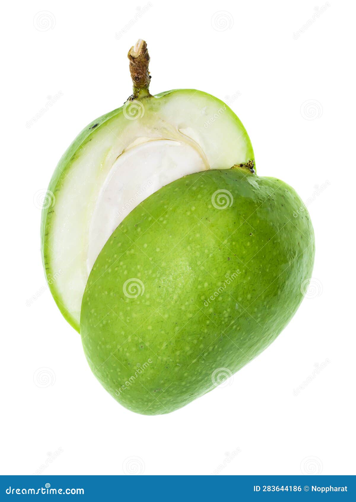 Close up green mango stock photo. Image of leaf, garden - 283644186